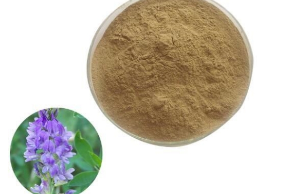 How to Make Alfalfa Extract