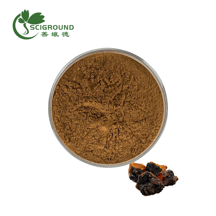 Chaga Extract Powder - Chaga Extract Powder Wholesale - Scigroundbio