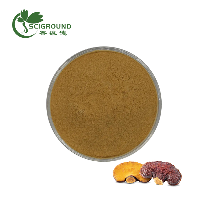 Reishi Mushroom Extract Powder - Reishi Spore Extract - Scigroundbio