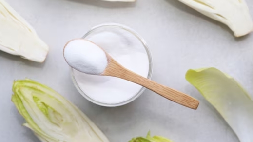 Where does inulin come from - Scigroundbio