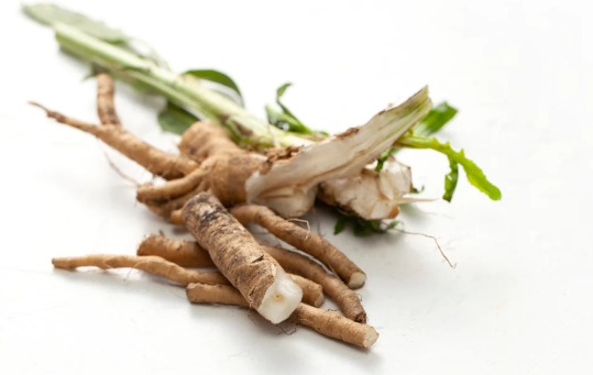 Inulin Benefits - Scigroundbio