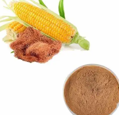 Corn Silk Extract Powder Supplier - Corn Silk Powder - Scigroundbio