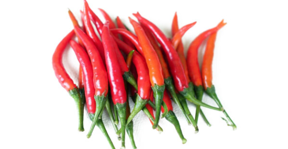 What is capsaicin - Scigroundbio