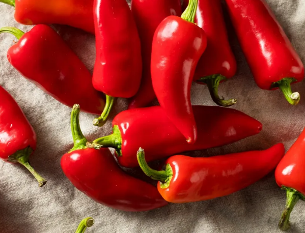 How Does Capsaicin Work? - Scigroundbio