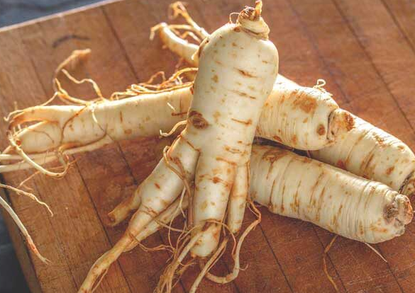 Kudzu Root: Benefits, Uses, and Side Effects - Scigroundbio