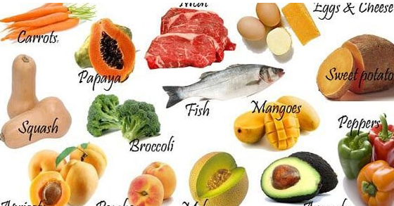Vitamin B1 vs B12 - Scigroundbio