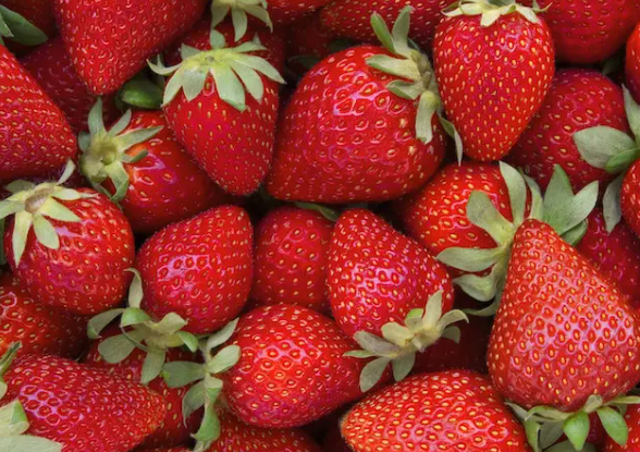 Fisetina: beneficios, efectos secundarios, dosis - Scigroundbio