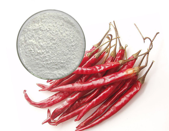 What is capsaicin powder used for? - Scigroundbio