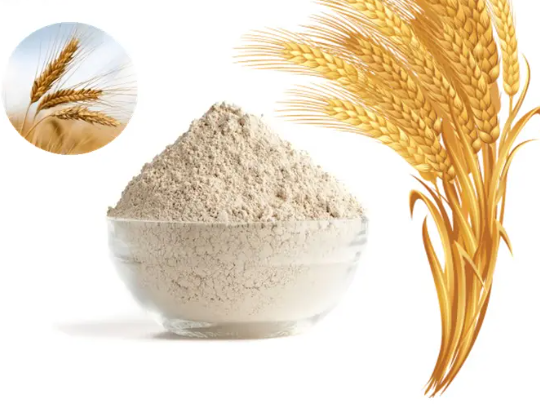 Hydrolyzed Wheat Protein Powder - Scigroundbio