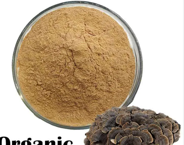 Coriolus Versicolor Extract - Coriolus Versicolor Mushroom Extract ...