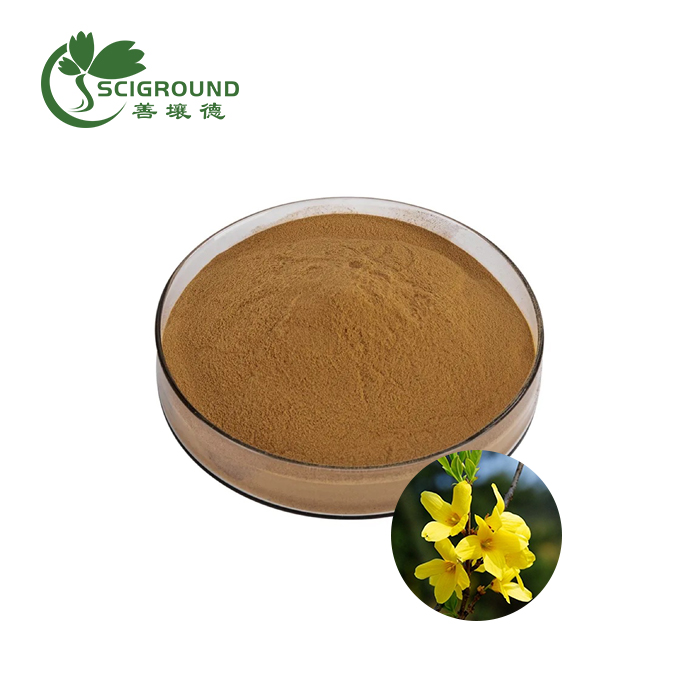 High-quality Lentinan Extract Prices – Wholesale Supplier